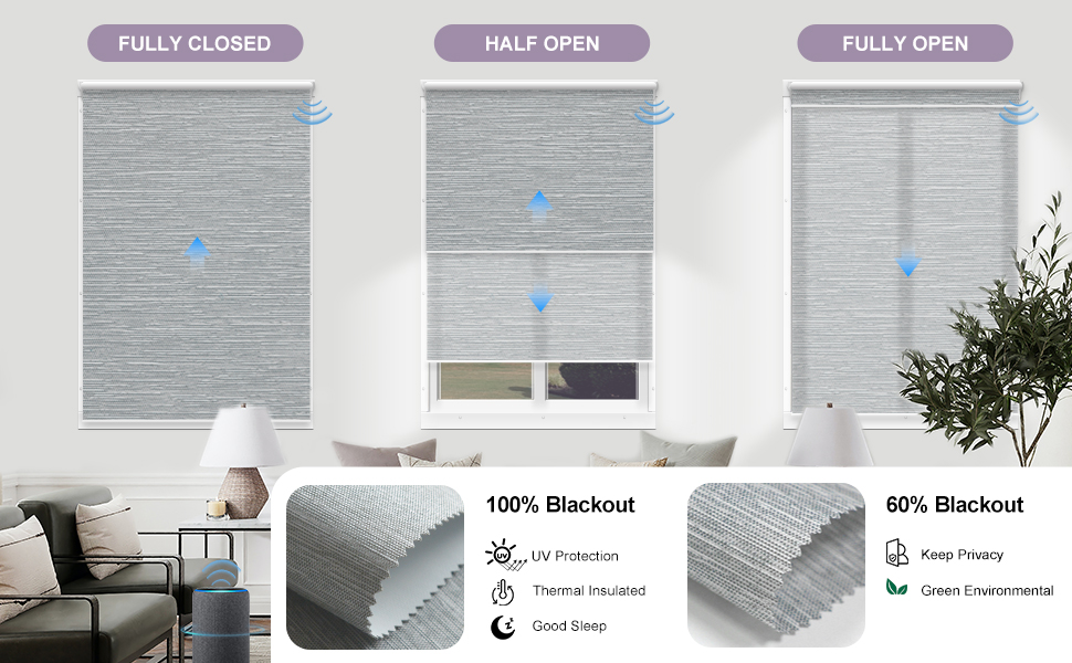 Amazon.com: Graywind Motorized Dual Shades Smart Double Blinds Blackout and Light Filtering ...