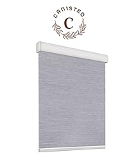 Amazon.com: Motorized Blinds Roller Shade with Remote: Canisteo Automatic Smart Blind for ...