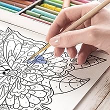 Amazon.com: SOUTHERN LOTUS Color by Number Butterfly & Flower Patterns Spiral Coloring Book ...