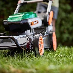 Amazon.com : Scotts Grass Seed Drought Tolerant Mix, Kentucky Bluegrass ...