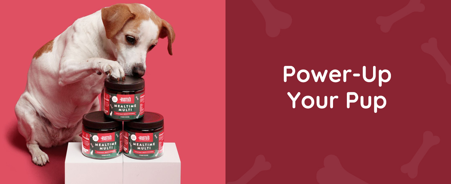 Amazon.com : Premium Dog Multivitamin Supplement (170 Chews) - Mealtime Multi - with CoQ10 ...