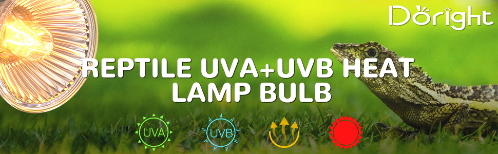 DoRight Tortoise Heat lamp Bulbs,50W UVA UVB Bulb,Dimmable E27 Heat Bulb for Reptiles,Full ...