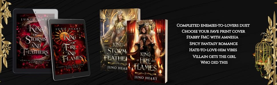 Amazon.com: King of Storms and Feathers: A Dark Fae Fantasy Romance (Courts of the Star Fae ...