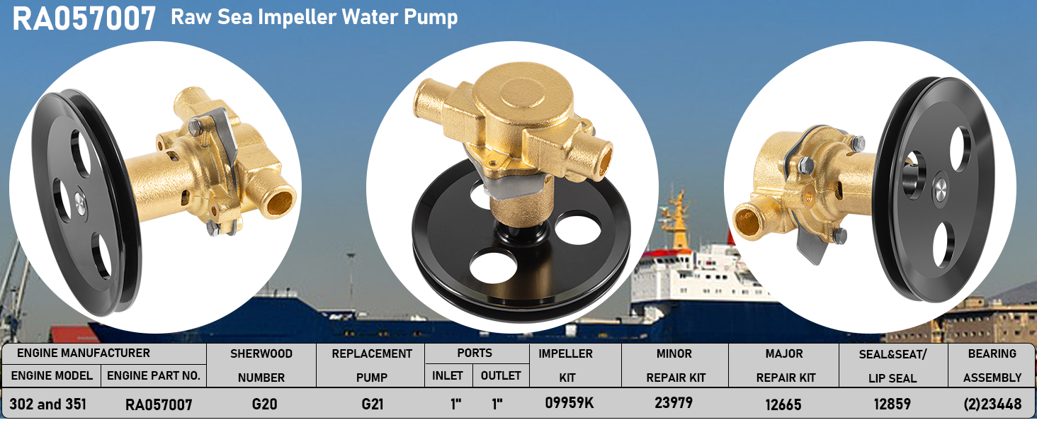 Amazon.com: RA057007 Raw Sea Impeller Water Pump For Ford Marine 5.0, 5.8, 351, 302 Replaces for ...
