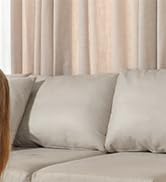 Amazon.com - HAUSHOF Handheld Carpet Cleaner, 12V Cordless Portable ...