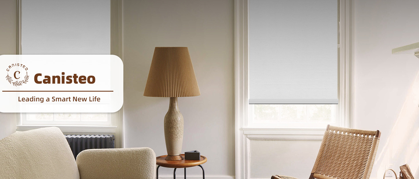 Amazon.com: Motorized Blinds with Remote: Canisteo Battery Powered Control Electric Smart Roller ...