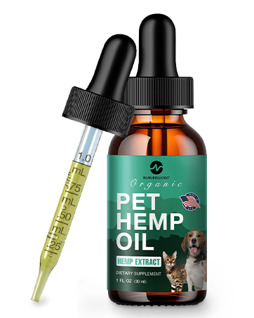 Amazon.com : Hemp Oil for Dogs Cats - Pet Supplement Helps Pets with Аnxiеty, Pаin, Strеss ...
