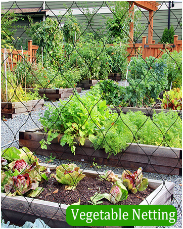 Amazon.com : Chicken Netting - 50x 100ft Garden Netting with 1" Square Mesh as Poultry Netting ...