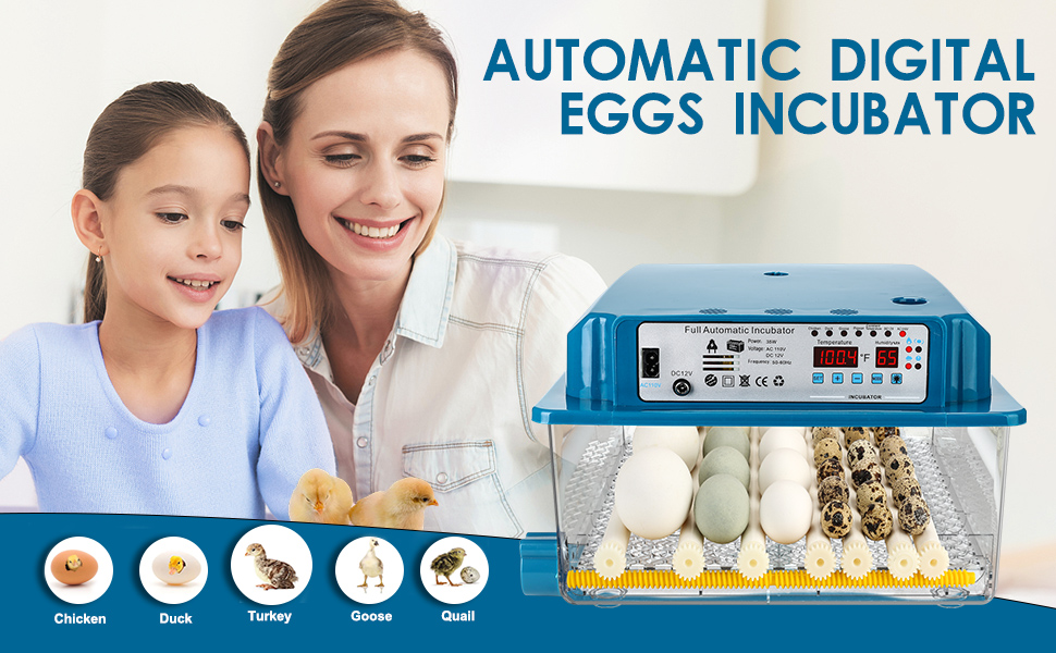 Amazon.com: Vevitts 36 Eggs Incubators for Hatching Egg Fahrenheit with Automatic Turner ...