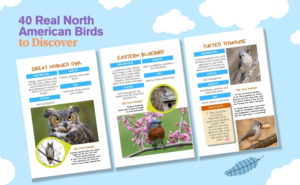 Bird Watching Book for Kids 6-12: A kid's Bird Guide to North America. Learn, Spot, and Enjoy ...
