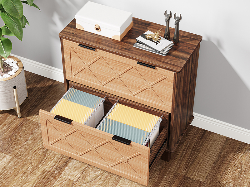Amazon.com: Tribesigns Lateral File Cabinet with 2 Drawer for Home Office Study Room, Two ...