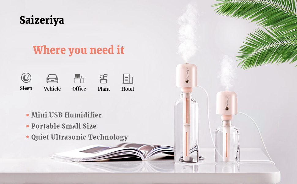 Amazon.com: Mini Portable Humidifier, travel humidifier, Small USB ...