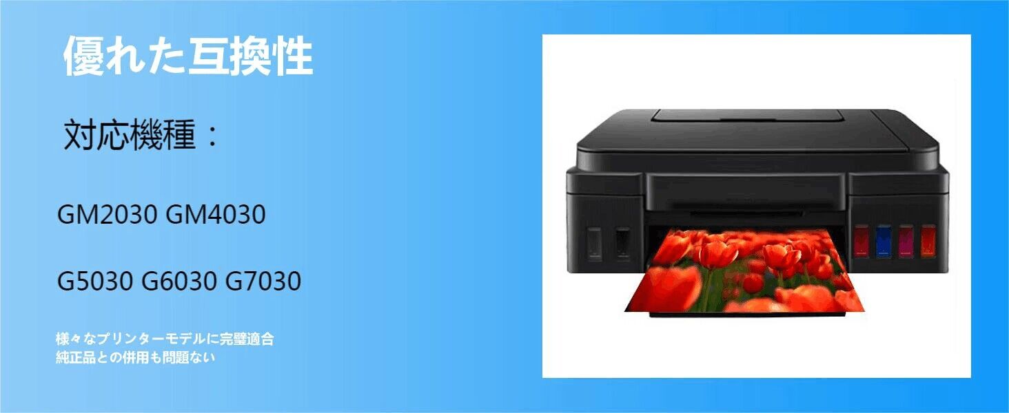 Amazon.co.jp: LCL Canon用 キャノン用 GI-30 GI-30PGBK GI-30BK （2パック ブラック 顔料 170ML） 互換インクボトル 対応機種：GM2030 ...