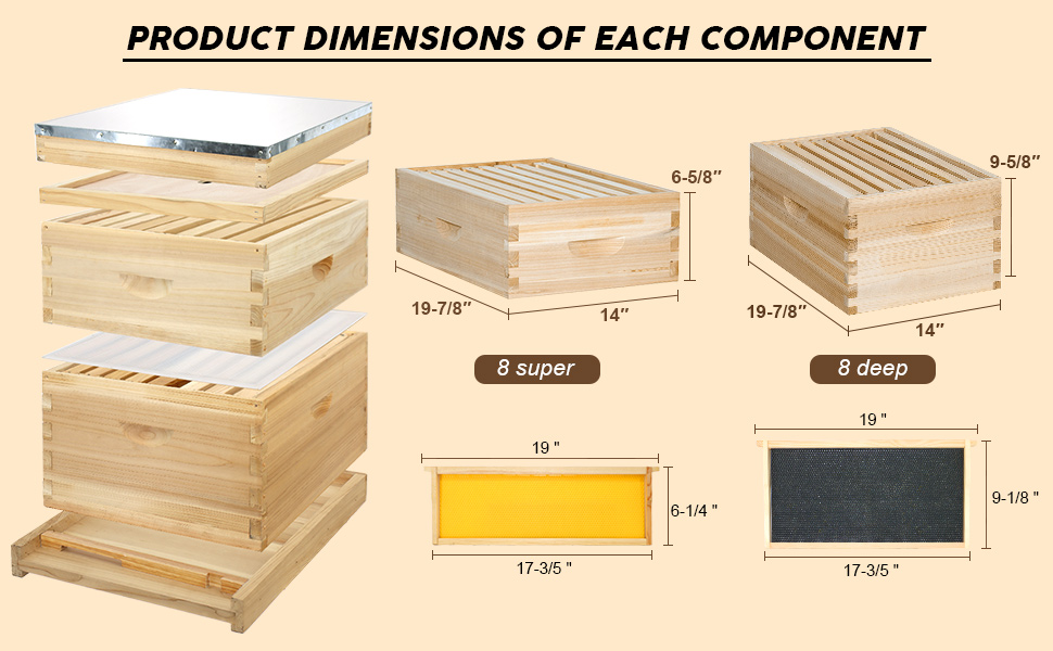 Amazon.com: BEEINN 8 Frame Bee Hive, Compelte Bee Hive Starter Kit Includes 1 Deep Brood Honey ...