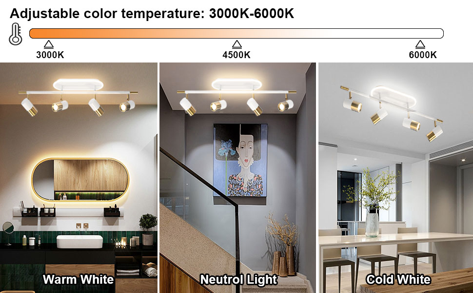 CANEOE White 4 Lights LED Track Lighting, Dimmable with Remote Control ...