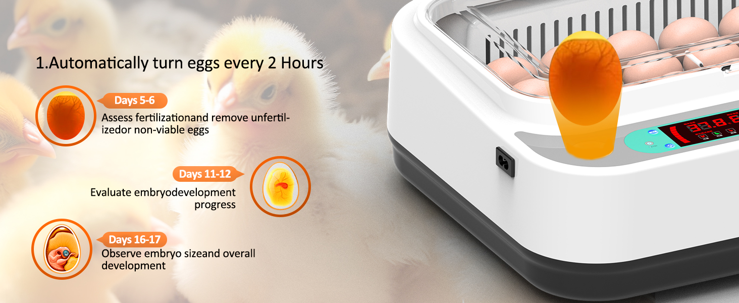 Amazon.com: HerCcreta wigge 24 Eggs Incubators for Hatching Eggs with Automatic Egg Turning, 4 ...