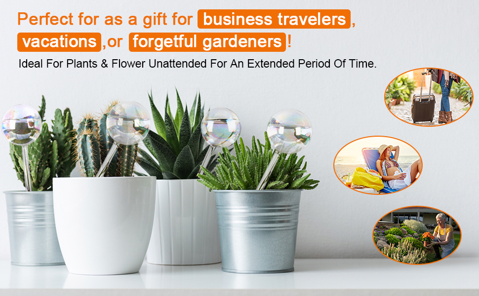 Amazon.com: KintKita Clear Glass Plant Watering Globes -Self Watering Blubs Auto-Drippers System ...