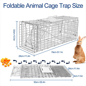 Animal Cage Trap, Large 2-Doors Humane Catch and Release Foldable Cage for Stray Cats Small Dogs ...
