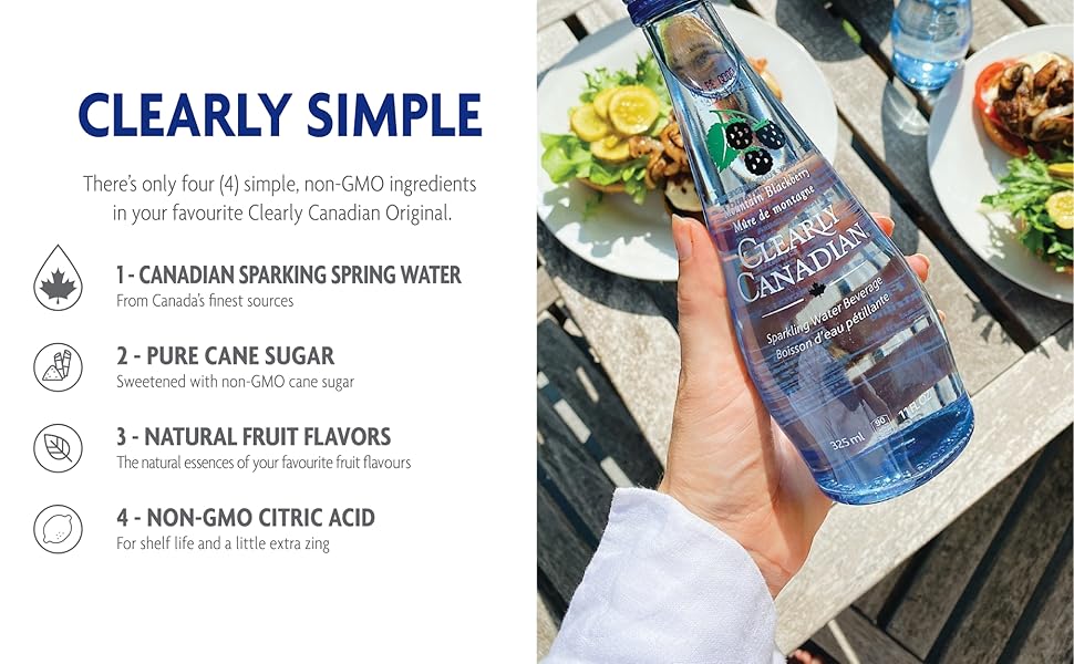 Amazon.com : Clearly Canadian - Sparkling Spring Water Beverage - Case of 12 Bottles - 11 Fl. Oz ...