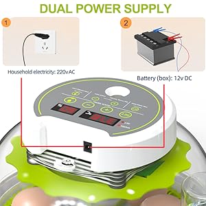 Amazon.com: Egg Incubators for Hatching Chicks, Egg Incubator with Automatic Egg Turning and ...