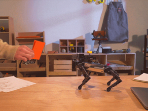 Amazon.com: ELECFREAKS CM4 XGO Robotic Dog V2 Kit for Raspberry Pi with ...