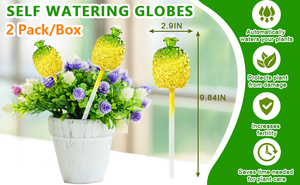 Amazon.com: HYH Plant Watering Globes 2 Pack Self Watering Planter Spikes Insert for Indoor ...