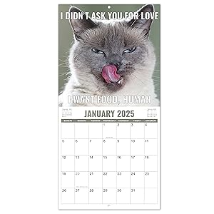 Calendario de pared 2025-2026 – Calendario divertido de gatos 2025-2026, 12 x 24 pulgadas ...