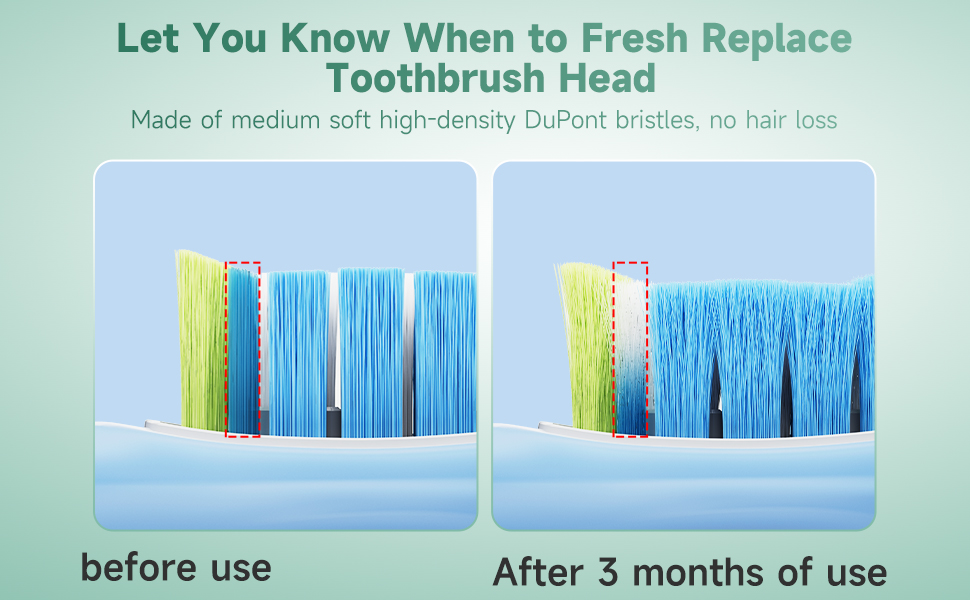 Amazon.com : Replacement Brush Heads Compatible with Philips Sonicare ...