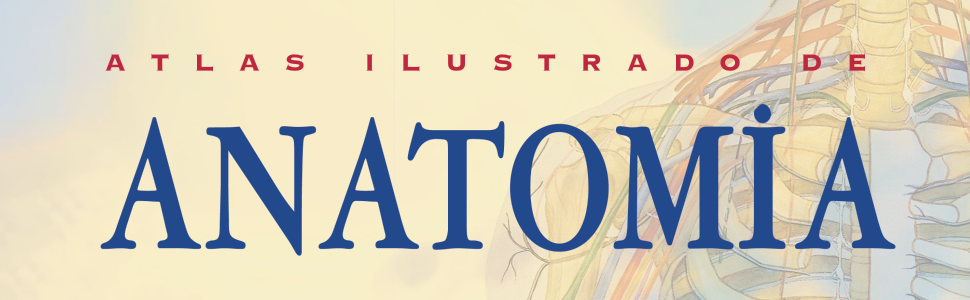 Atlas Ilustrado de Anatomia | Amazon.com.br