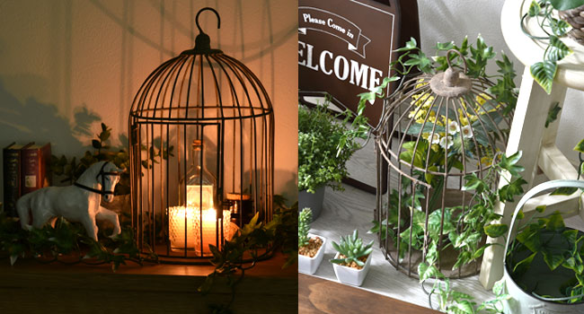 Amazon | ワイエムワールド バードケージ アイアン ガーデン ディスプレイ ヴィンティー 48-100067 | ワイエムワールド | 鳥かご・ケージ 通販
