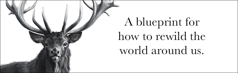 The Book of Wilding: A Practical Guide to Rewilding, Big and Small: Amazon.co.uk: Tree, Isabella ...