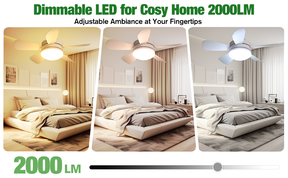 Socket Fan Light with Remote, 2000 Lumens 17.8" E26 Base Screw in ...