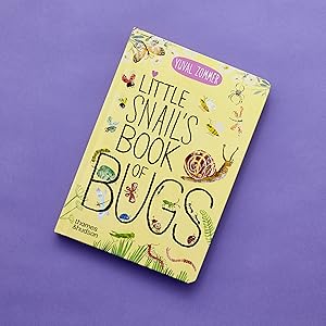 Little Snail's Book of Bugs (The Big Book series) : Zommer, Yuval: Amazon.co.uk: Books