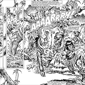 Amazon.com: The Savage Sword Of Conan: The Original Comics Omnibus Vol.11 (CONAN THE BARBARIAN ...