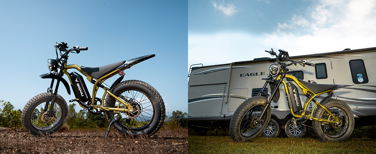 Amazon.com : BIGNIU Electric Bike for Adults – 20" Fat Tire, Peak 1200W Motor, 48V 15A Battery ...