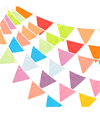 Amazon.com: GCQQ 24pcs Multicolor Banner, No DIY Pennants Banner Flags ...