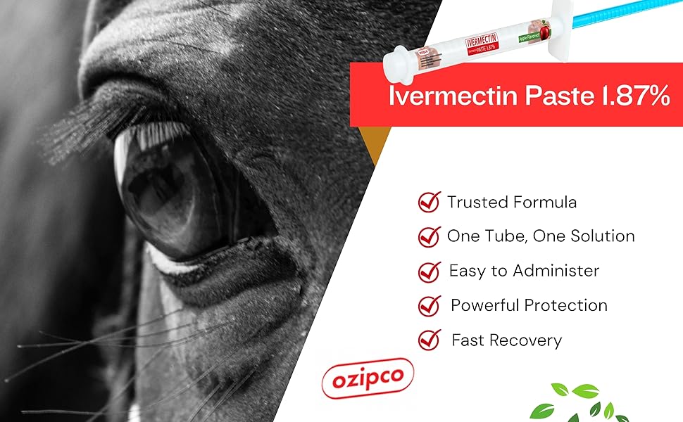 Amazon.com : Ivermectin Horse Paste 1.87% | Apple Flavor – 6.08g Syringe for Equine Use Only Up ...
