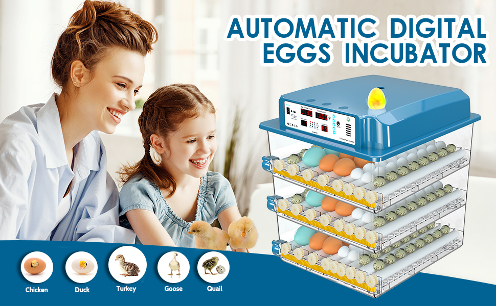 Amazon.com: Vevitts Automatic Egg Incubator 176 Egg Incubator Digital Automatic Hatcher with Egg ...
