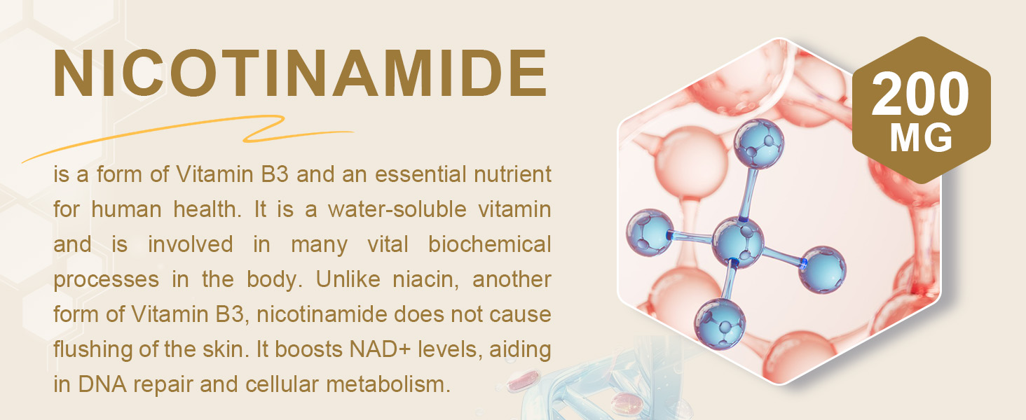Amazon.com: Totaria NMNH (Dihydronicotinamide Mononucleotide), NMN Alternative Supplement w ...