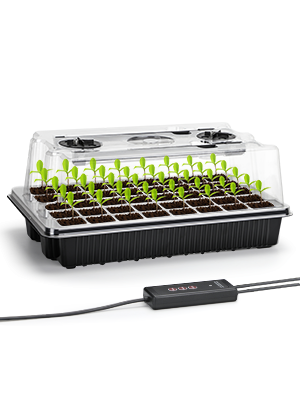 Amazon.com : YLYYCC Seed Starter Tray with Grow Light,40 Cells Seed Starter Kit with Humidtiy ...