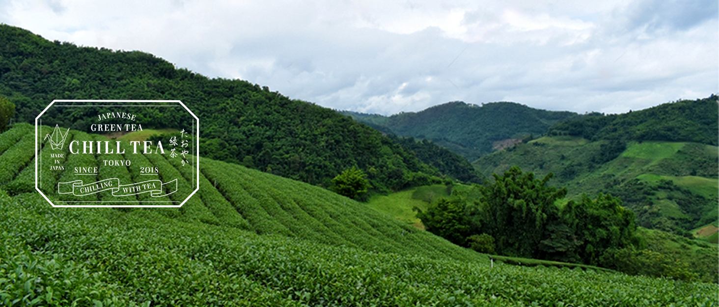 Sakura Green Tea by CHILL TEA Tokyo (100g Loose Leaf) - Cherry Blossom Tea, Japanese Tea, Loose ...