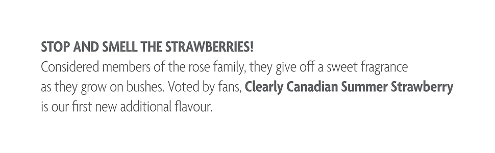 Amazon.com : Clearly Canadian Summer Strawberry Sparkling Spring Water Beverage, Natural ...