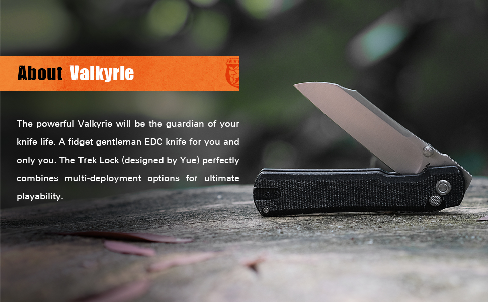 Amazon.com: Vosteed Lightweight Pocket Knife with Clip, Flipper Folding Pocket knife for Men and ...