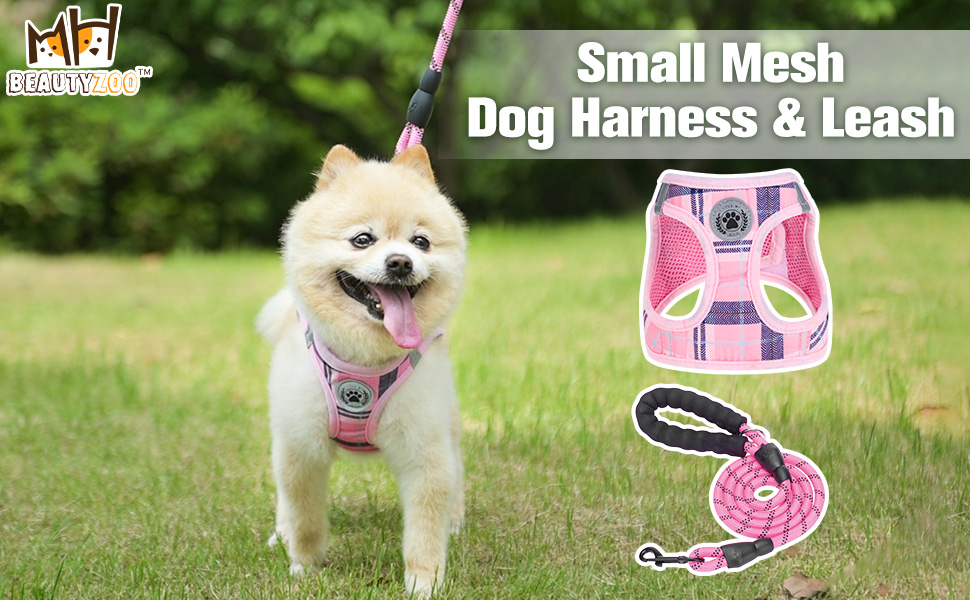 Amazon.com : BEAUTYZOO Small Dog Harness and Leash Set,Step in No Chock No Pull Soft Mesh Dog ...