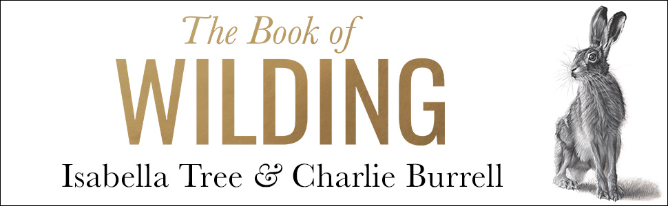 The Book of Wilding: A Practical Guide to Rewilding, Big and Small: Amazon.co.uk: Tree, Isabella ...