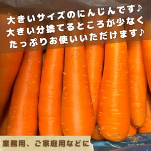 Amazon.co.jp: 【MSKSHOP】人参 にんじん 2Lまたは3L 大きいサイズ 業務用 ご家庭用 ニンジン 新鮮野菜 (10kg) : 食品・飲料・お酒