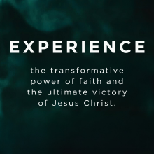 The Exorcist Files: True Stories About the Reality of Evil and How to Defeat It: Martins, Father ...