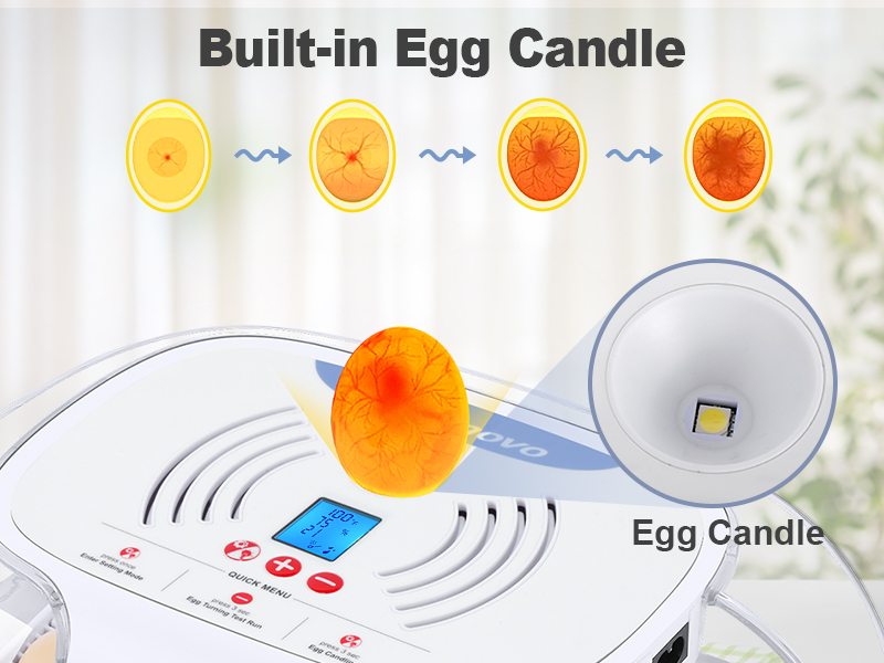 Amazon.com : Sailnovo Egg Incubator for Hatching Chicks, 16-35 Eggs Incubator with Automatic ...