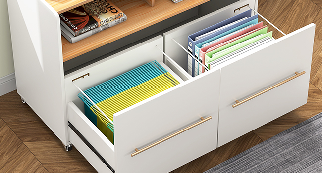 Amazon.com: Tribesigns 2 Drawer File Cabinet Rolling Filing Cabinets for Home Office White ...