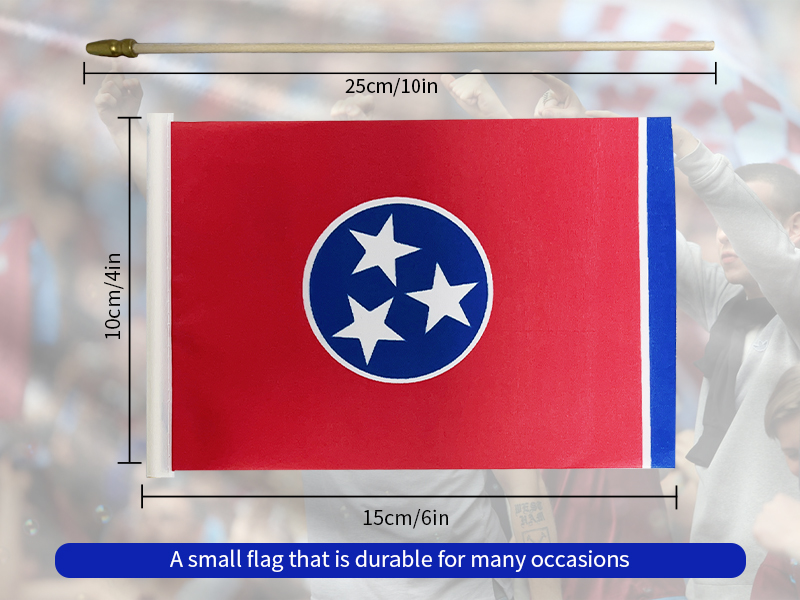 Amazon.com : Pack of 20, Handheld Tennessee Flags 5x8 Inch - Small ...